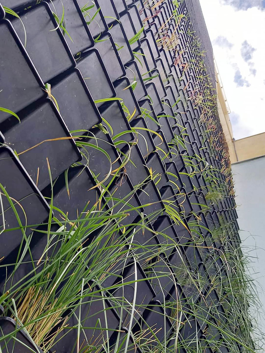 Ο Ψηλότερος Κάθετος Κήπος που τοποθετήθηκε στην Ελλάδα! - Δήμος «Παύλου ...