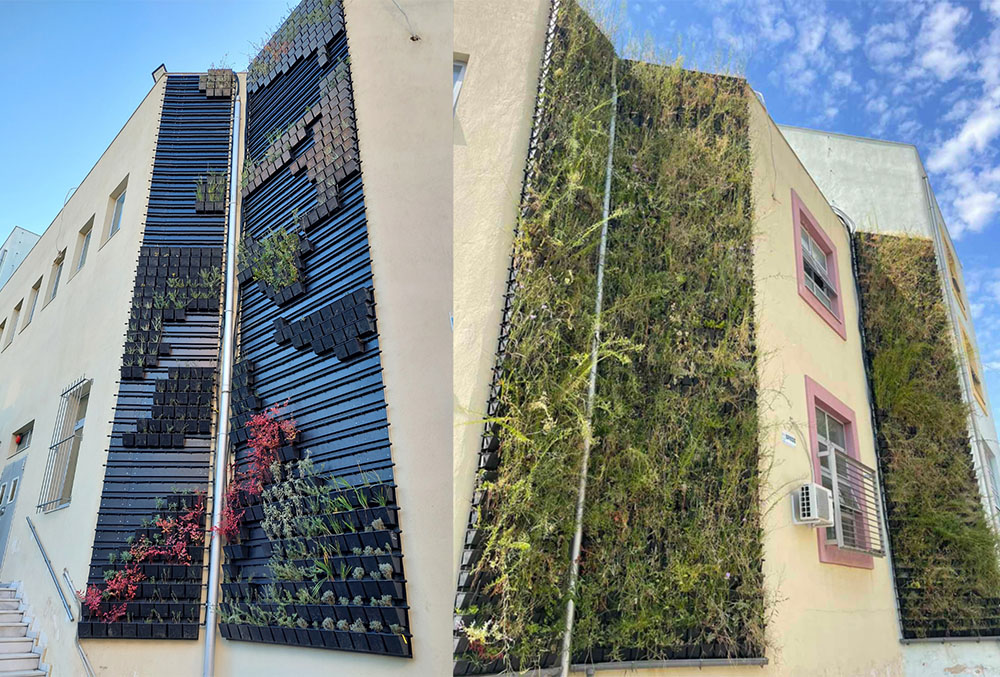 Ο Ψηλότερος Κάθετος Κήπος που τοποθετήθηκε στην Ελλάδα! - Δήμος «Παύλου ...