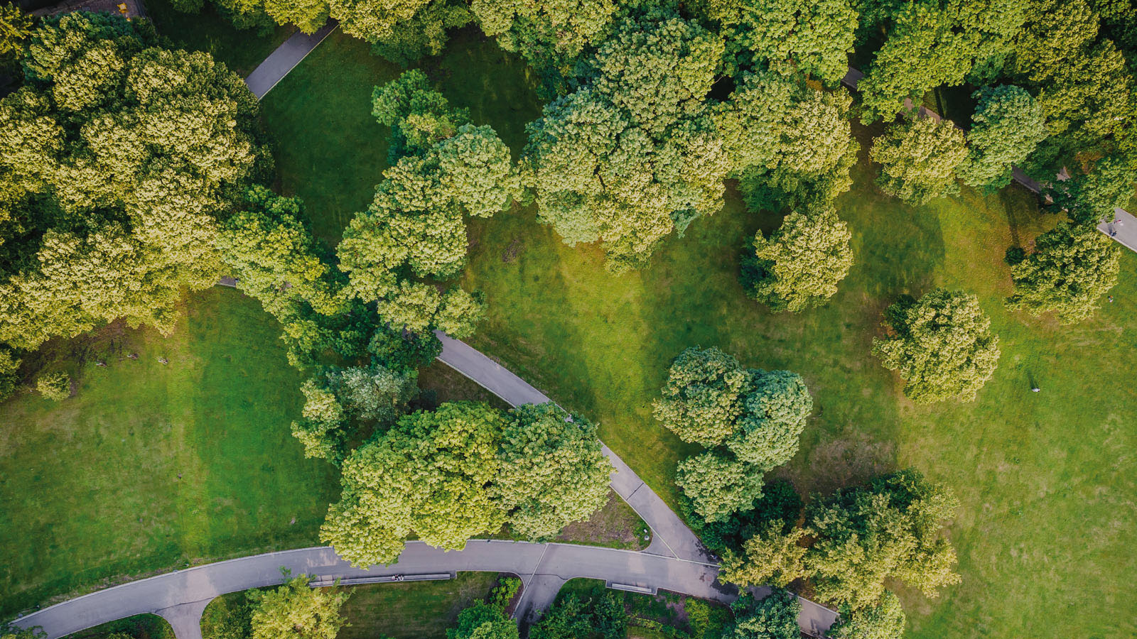 GreenSpaces | Διαχείριση του αστικού πρασίνου